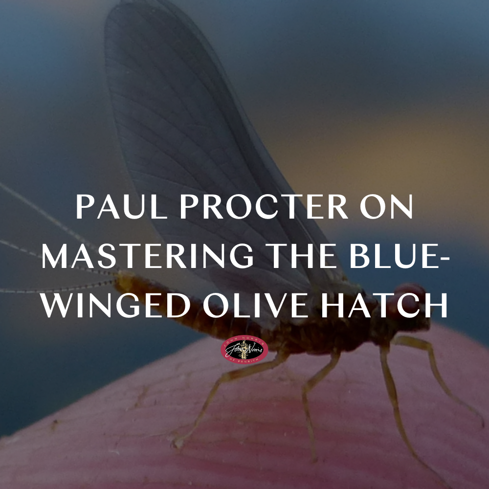 Paul Procter on Mastering the Blue-Winged Olive Hatch – John Norris