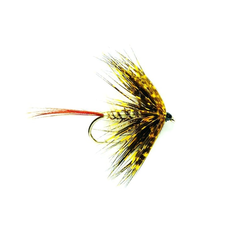 Mayfly Hackled Fly - John Norris