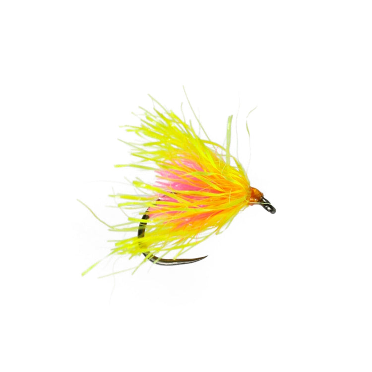 Sunburst Jellyfish Fly - John Norris