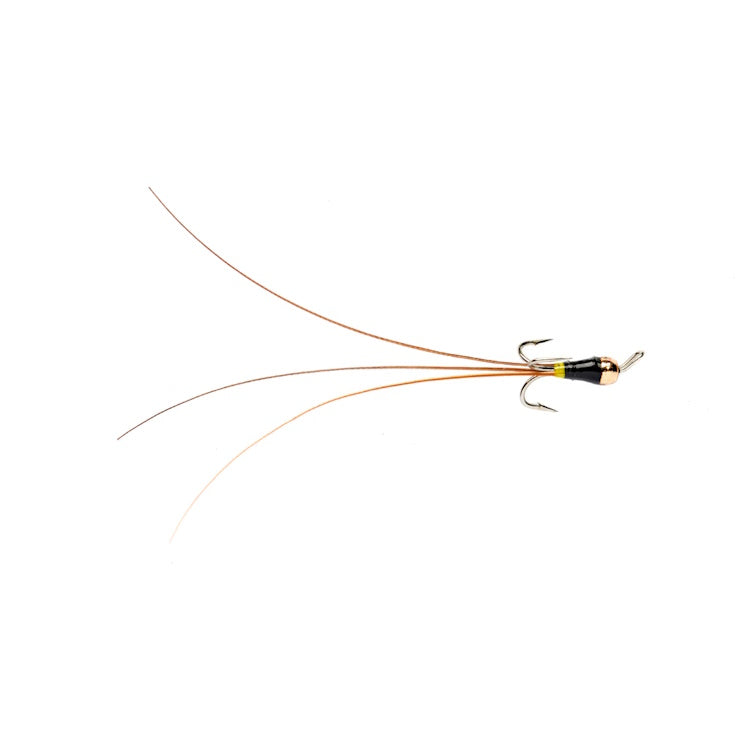 Zelda Black and Yellow Fly - John Norris