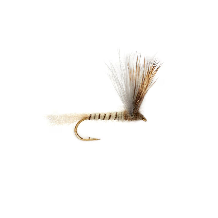 Proctor Stuck Shuck Compara May Fly - John Norris
