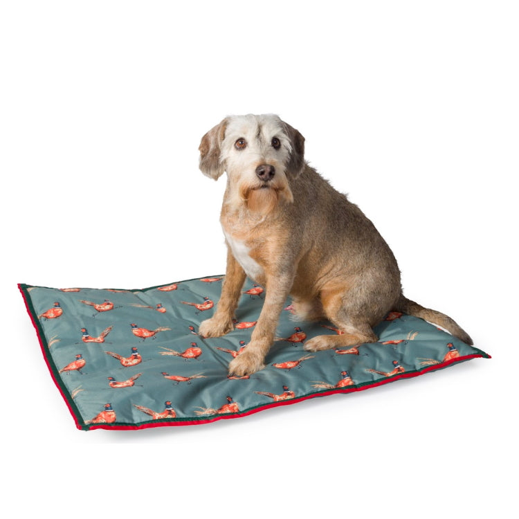 House of Paws Pheasant Water Resistant Boot Mat - John Norris