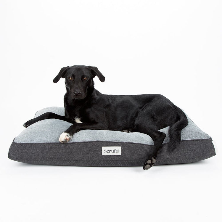 Scruffs Harvard Dog Mattress - Graphite Grey - John Norris