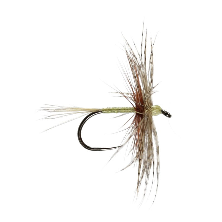 Olive Jingler Hackled Dry Flies – John Norris