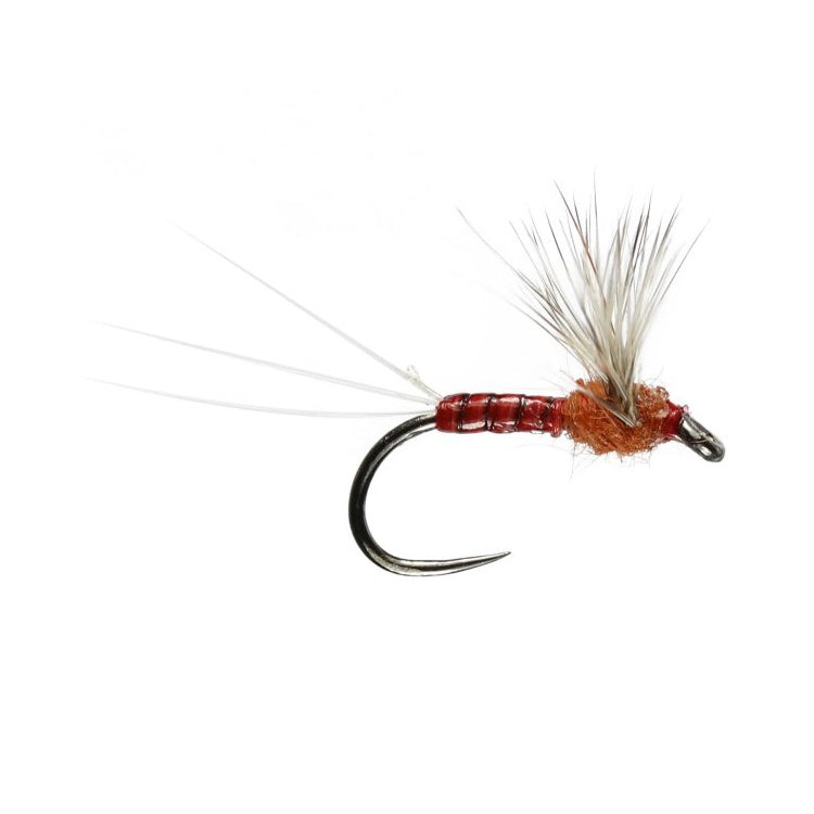 Sherry Spinner Winged Dry Flies | John Norris